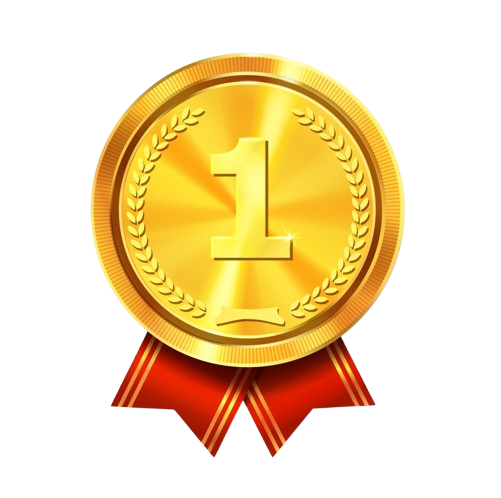 Saraswati Vidya Foundation -Educational Support